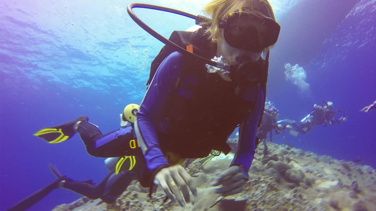 No 1 Scuba Diving Gear Guide for Beginners » Tough Hook Hangers