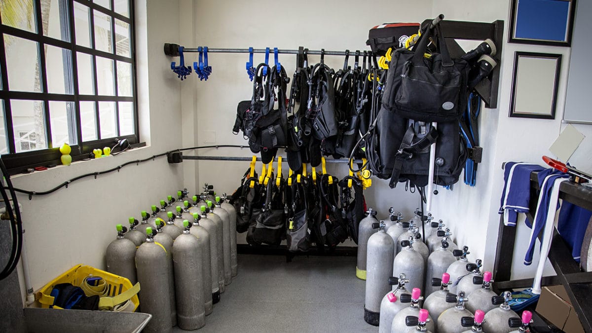 No 1 Scuba Diving Gear Guide for Beginners » Tough Hook Hangers